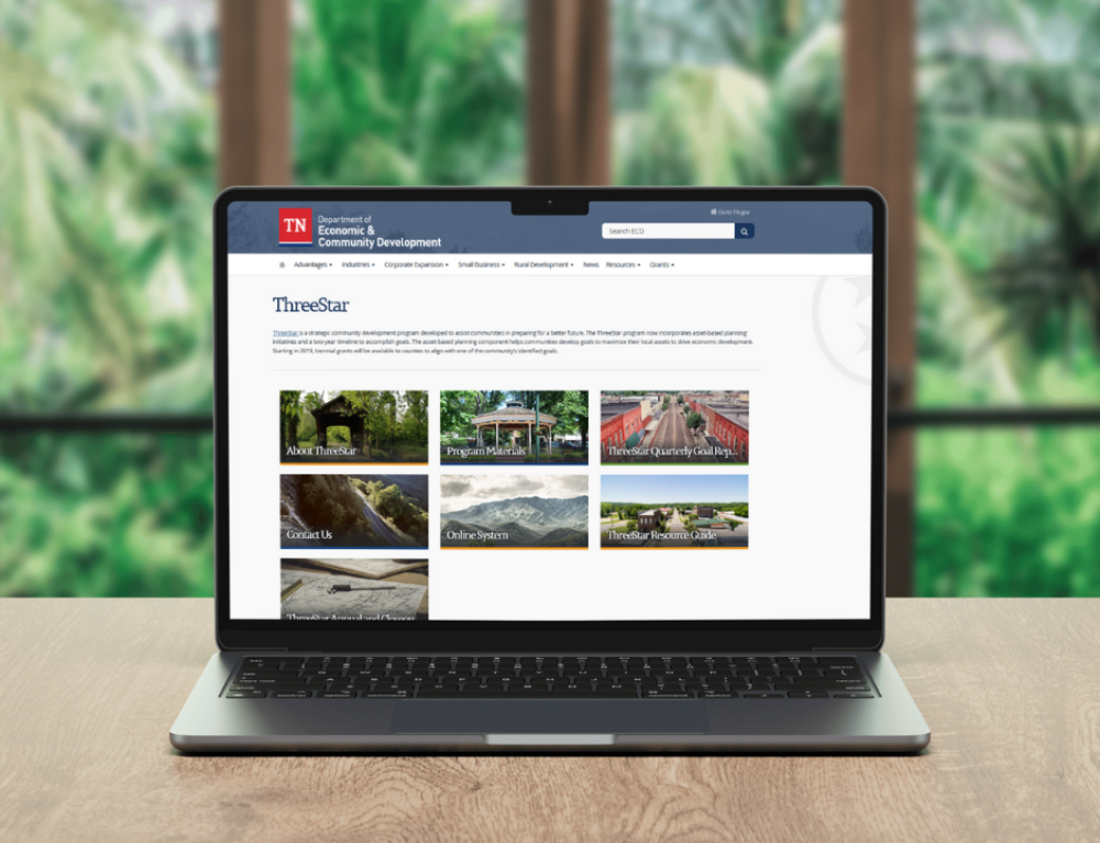 THDA 2025-2029 Consolidated Plan and 2025-2025 Annual Action Plan ...
